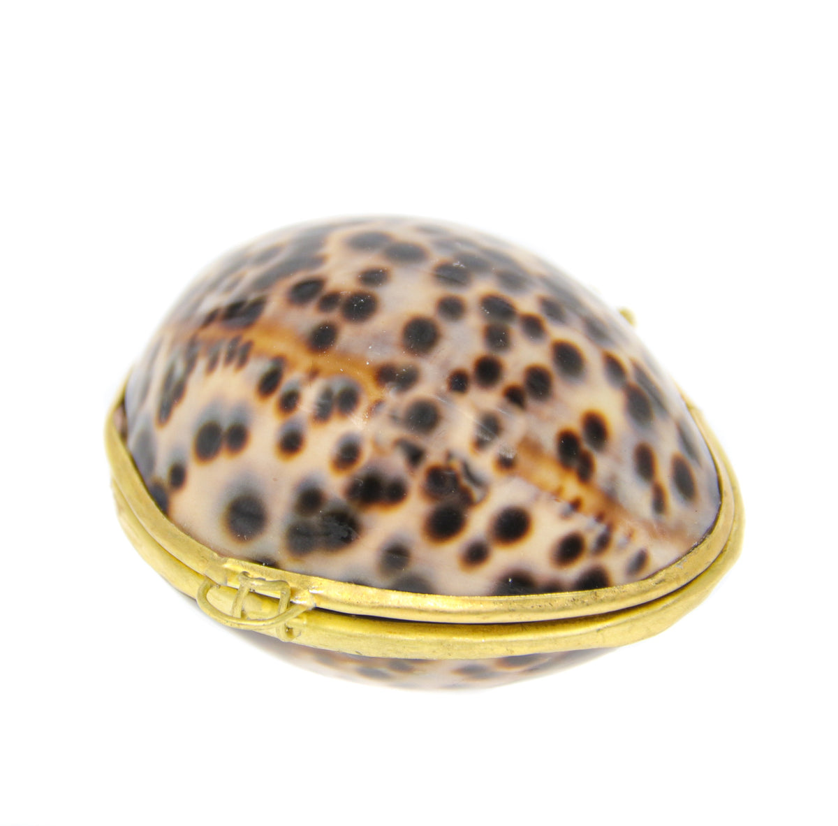 Spotted Stash Shell – Lux Vapes